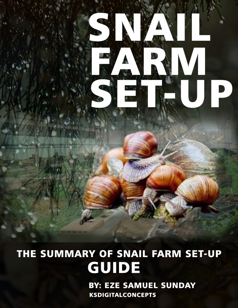 Buy SNAIL FARMING SETUP by EZE SAMUEL SUNDAY on Selar