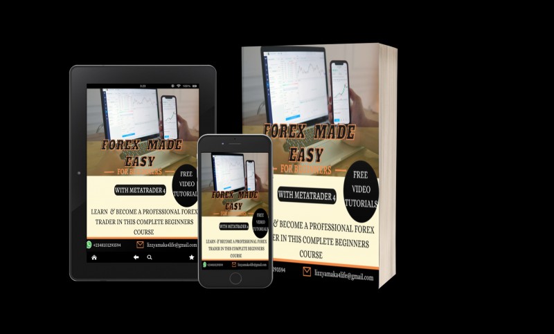 Buy FOREX MADE EASY FOR BEGINERS by Elizabeth Ukamaka Nnadi on Selar