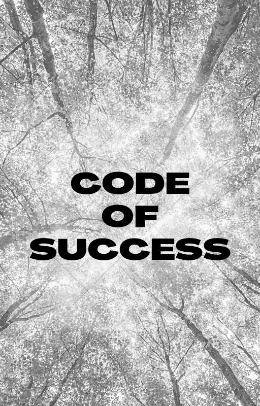 Buy Code Of Success by Onah Bright on Selar