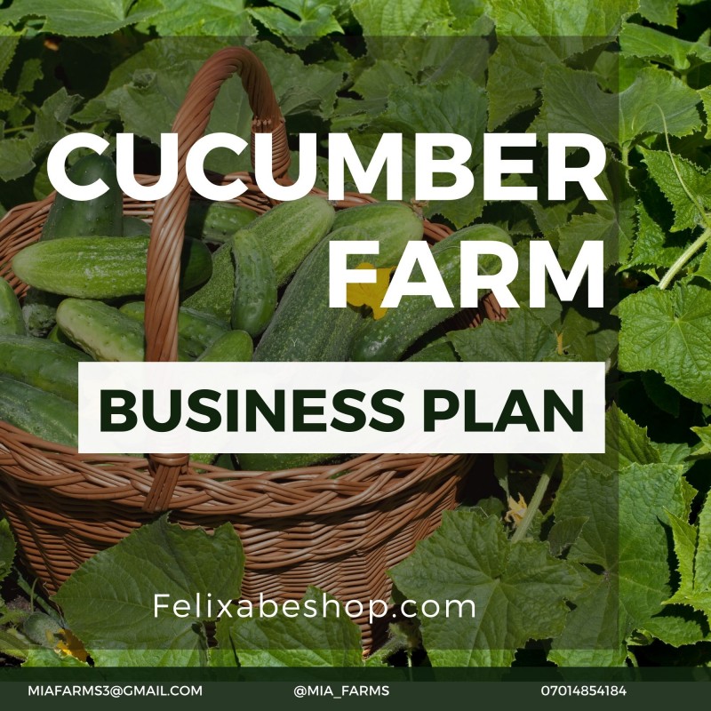 Buy CUCUMBER FARM BUSINESS PLAN by MIA Farms on Selar.co