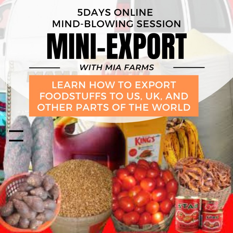 Buy MINI EXPORT COURSE by MIA Farms on Selar