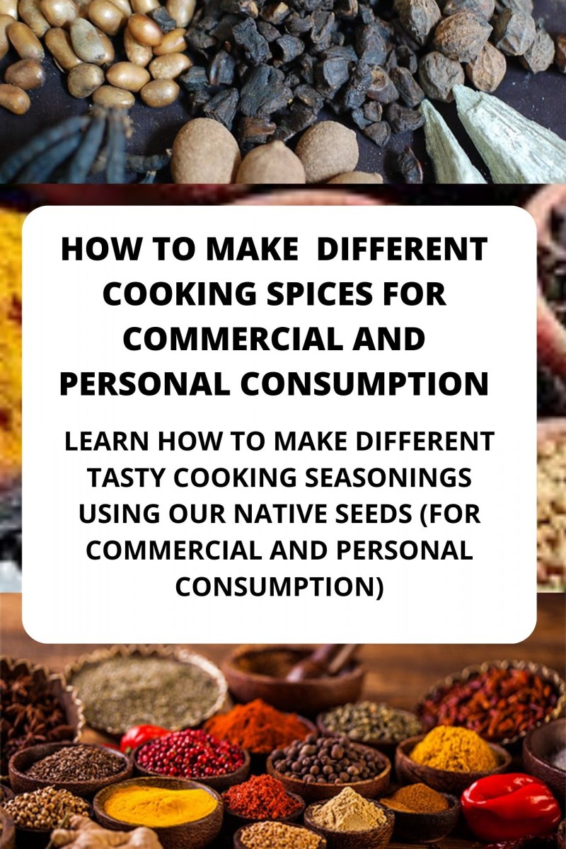 Buy HOW TO MAKE DIFFERENT COOKING SPICES FOR COMMERCIAL AND PERSONAL ...