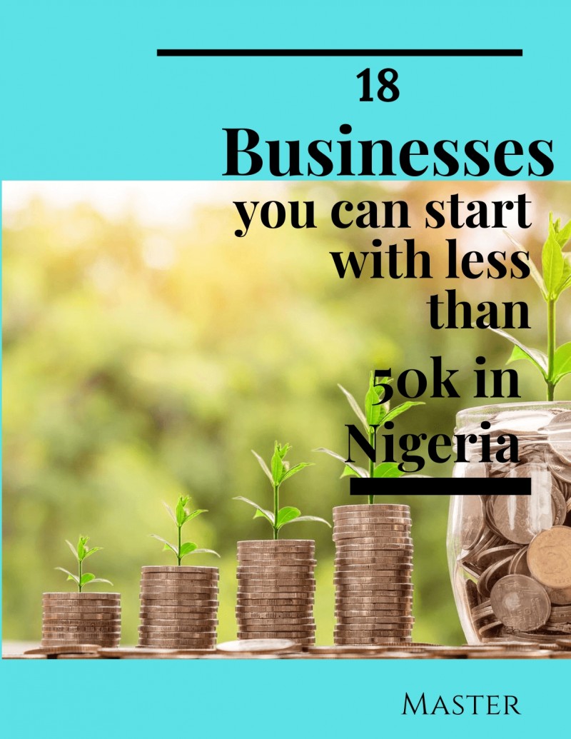 Buy 18 Businesses To Do With Less Than 50k In Nigeria By Osaretin