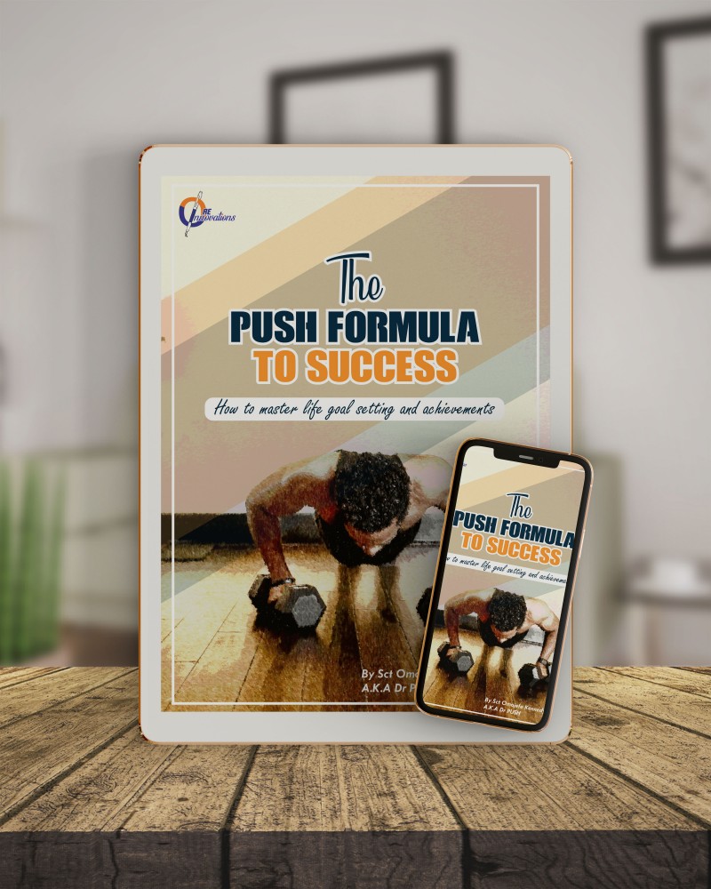 Buy THE PUSH FORMULAR TO SUCCESS by ORE INNOVATIONS on Selar