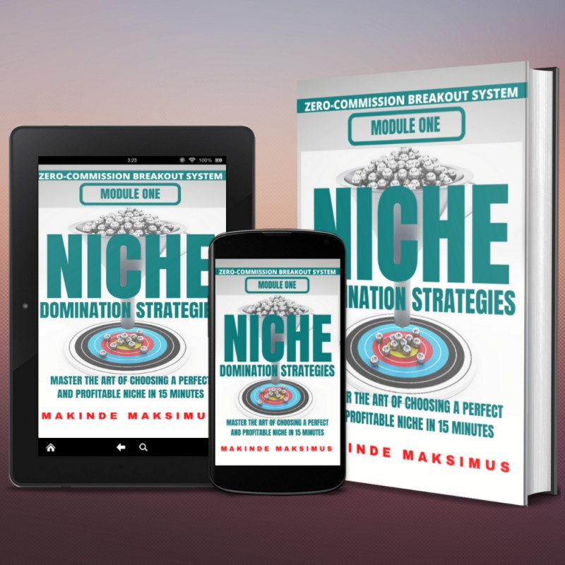 Buy Niche Domination Strategies (Master The Art Of Choosing A Perfect And Profitable Niche In ...