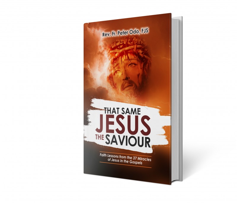 Buy That Same Jesus The Saviour by ODO CHIKAODILI PETER on Selar