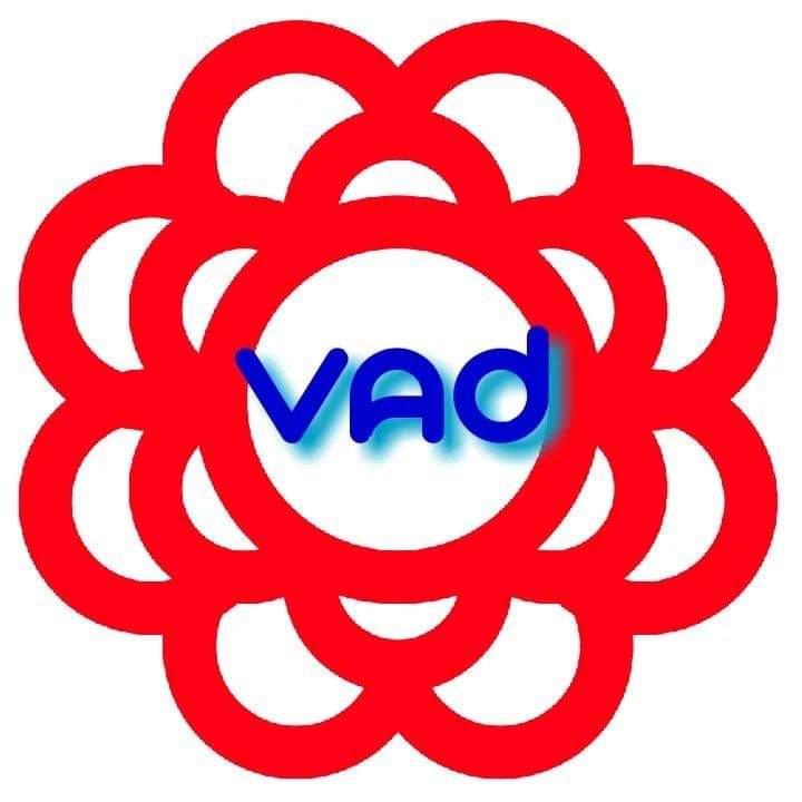 Buy VAD Transcriptions (Audio and Video) by Fatutu, Ayomiposi Ifedayo on Selar