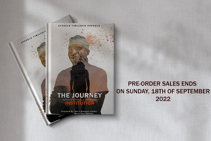 Buy THE JOURNEY (Nursing School, A spiritual Institution) - HARDCOPY by ...