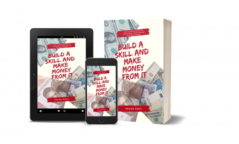 Buy Build a Skill and Make Money from It by Praise Azeh on Selar