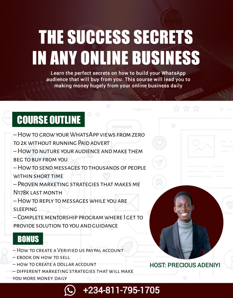 Buy SUCCESSFUL SECRETS IN ANY ONLINE BUSINESS by Adeniyi Oluwatunmise Precious on Selar