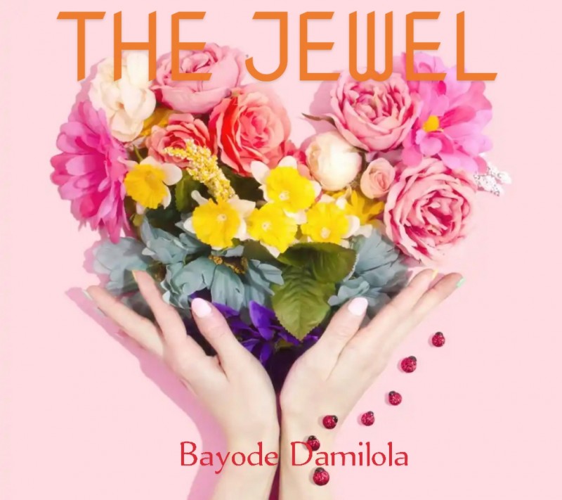 Buy THE JEWEL by Bayode Damilola Blessing on Selar