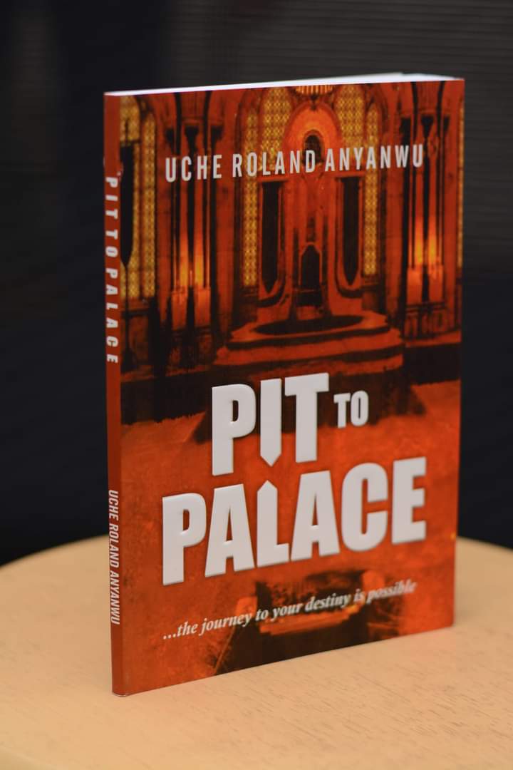 Buy PIT TO PALACE BOOK by Uche Anyanwu on Selar