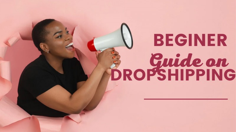Buy Introduction To Dropshipping | Beginner's Guide by Azeez Mariam Damilola on Selar