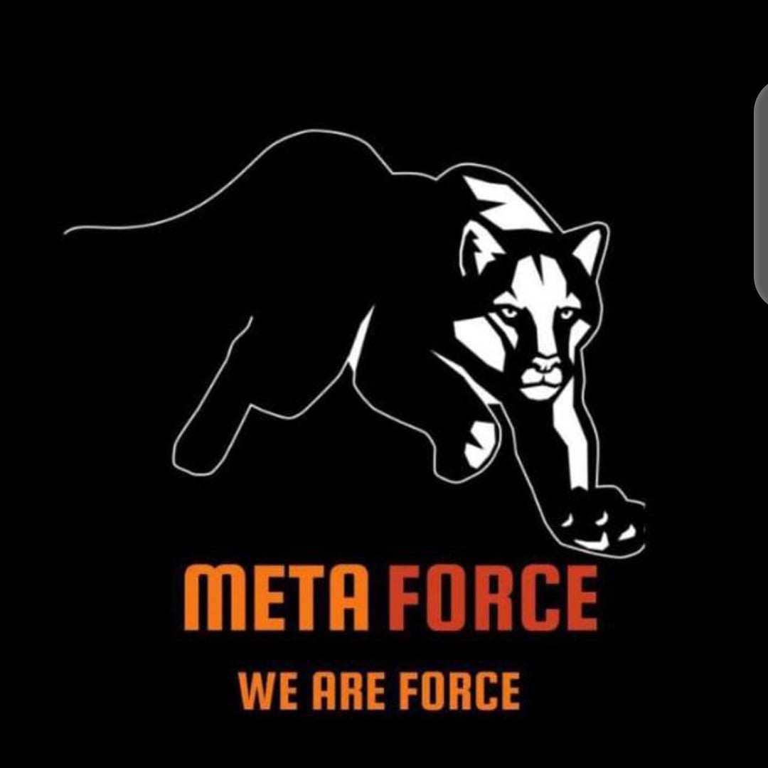 Buy Meta-Force Smart Contract by AbdulRoqeeb Olapade on Selar