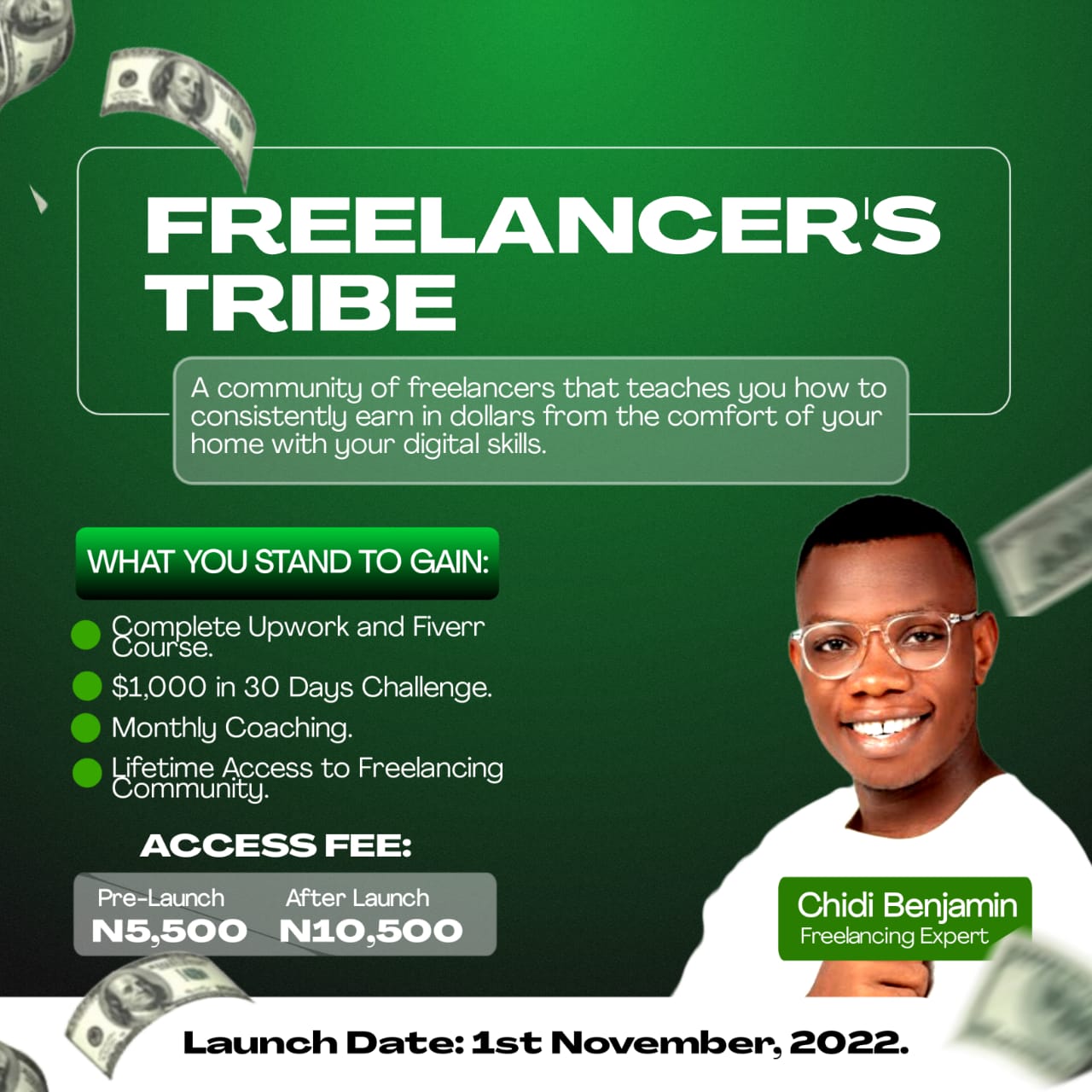 Buy FREELANCER'S TRIBE 💰💰 copy by Chidi Benjamin on Selar