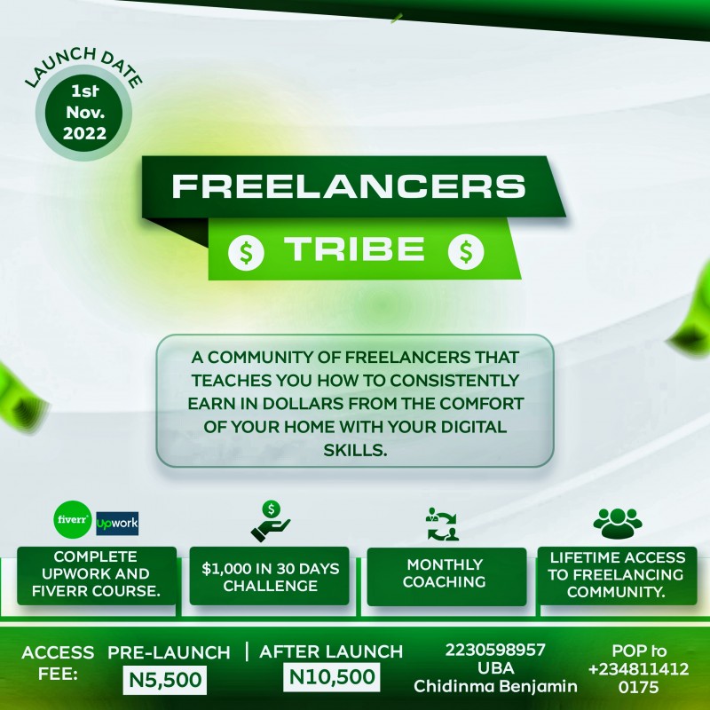 Buy FREELANCER'S TRIBE 💰💰 by Chidi Benjamin on Selar