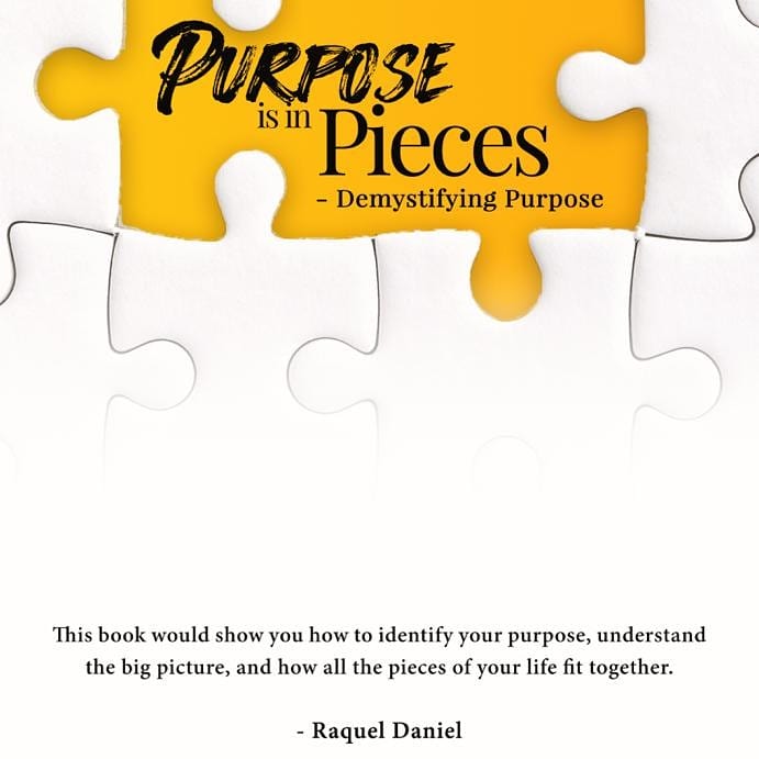 Buy Purpose is in Pieces by Nkechi Emmanuel-Layode on Selar