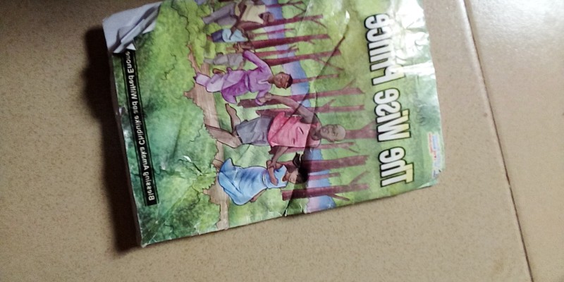 Buy The Wise Prince by Ilumoka Samuel on Selar