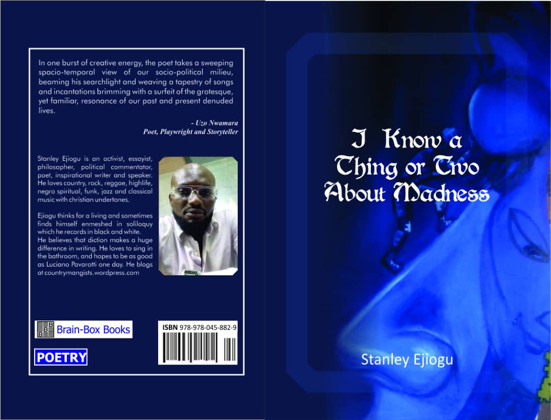 Buy I Know a Thing orTwo About Madness by Stanley Ejiogu on Selar
