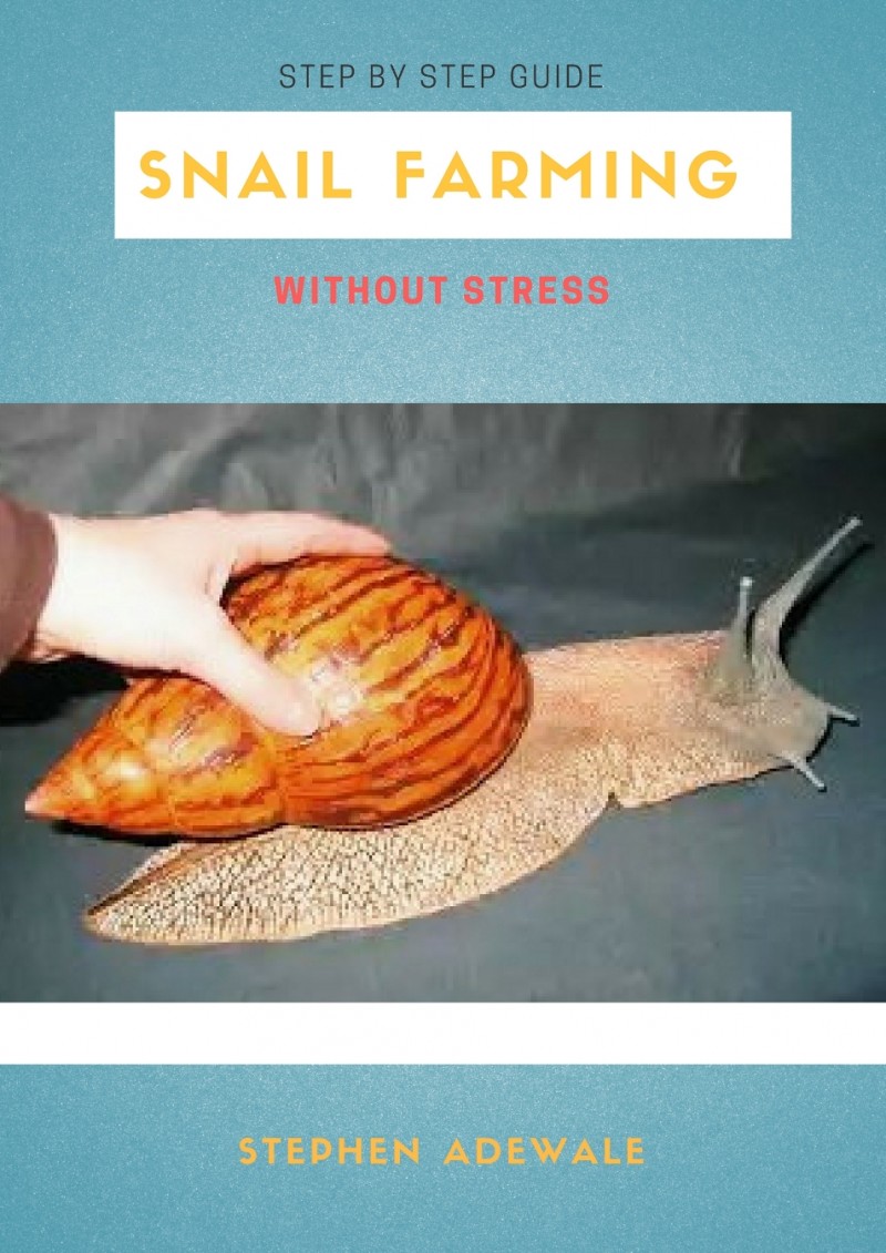 Buy STEP-BY-STEP GUIDE TO SNAIL FARMING by Stephen Adewale on Selar
