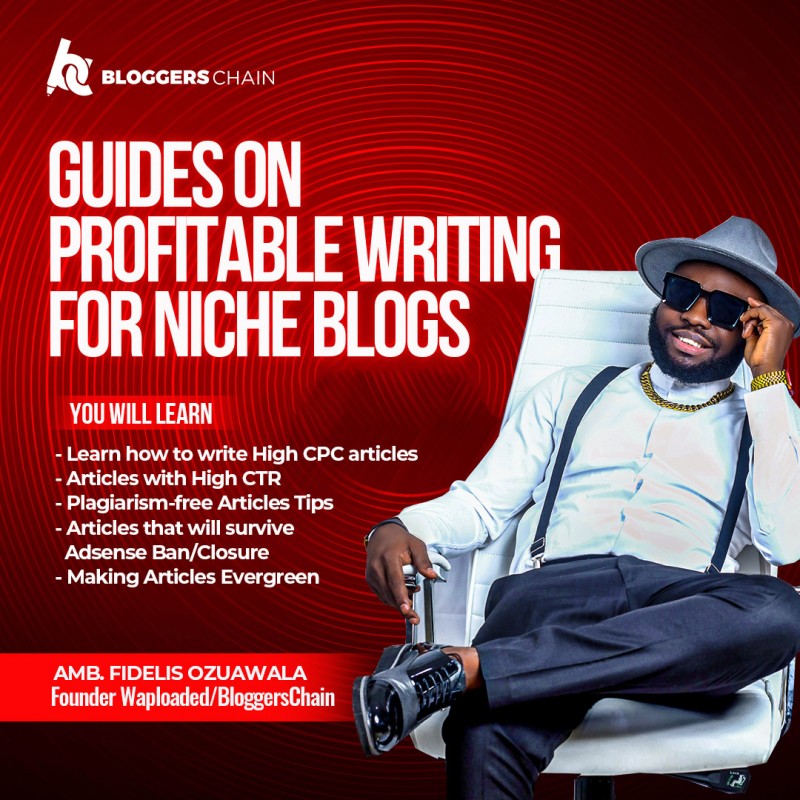 Buy Profitable Writing Guides for Niche Blogs by Fidelis Ozuawala on Selar