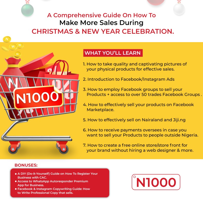 Buy How to Make More Sales During Christmas & New Year Celebrations. by ...