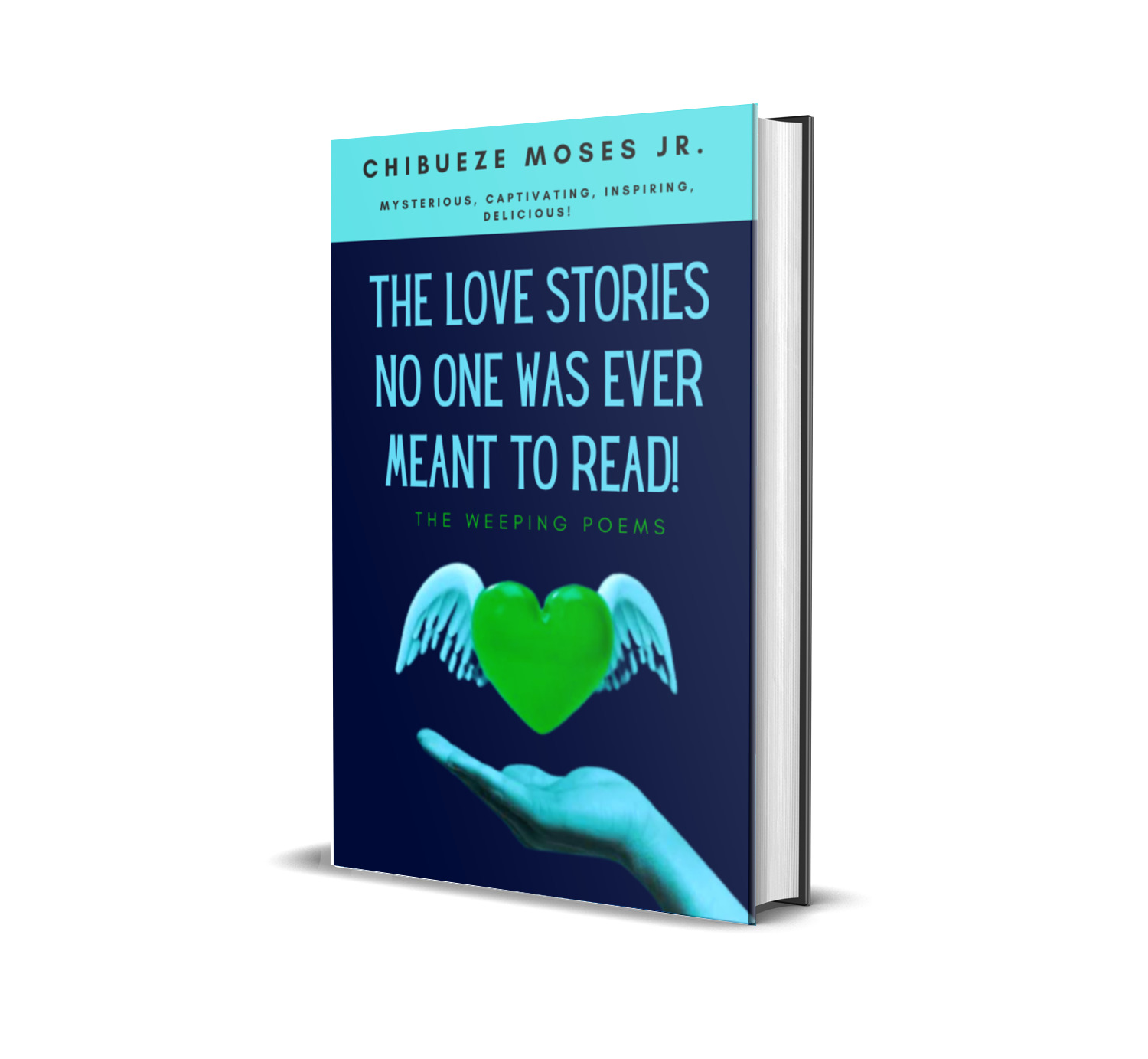 Buy THE LOVE STORIES NO ONE WAS EVER MEANT TO READ! by Chibueze Moses ...