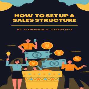 Get How to Set up a Sales Structure by The Impactful Life Academy on Selar