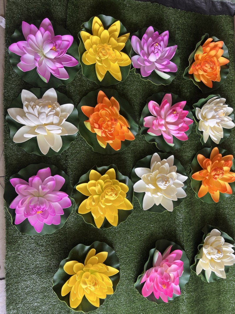 Buy EVA LOTUS by Turf and Garden Nigeria on Selar