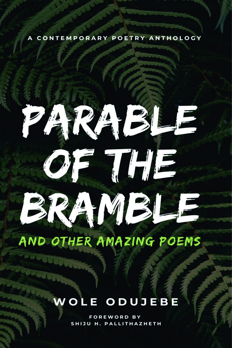 Buy Parable of the Bramble by Oluwole Odujebe on Selar