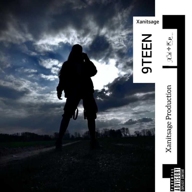 Buy 9Teen by Timothy Aaron Banda on Selar