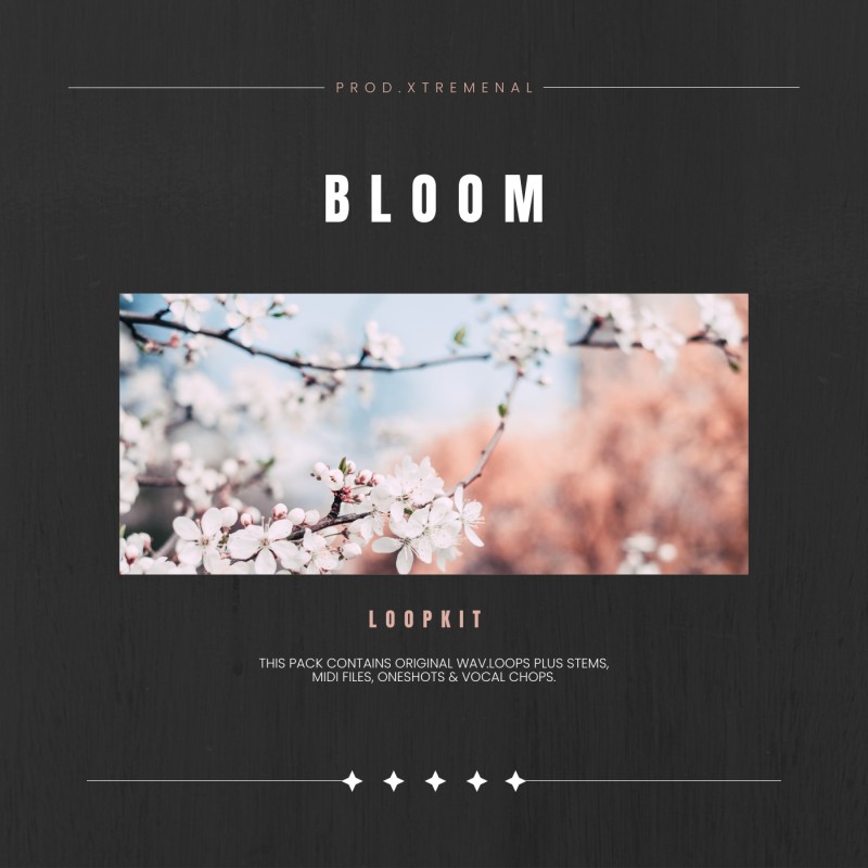Buy BLOOM LOOP KIT by Prod.Xtremenal on Selar