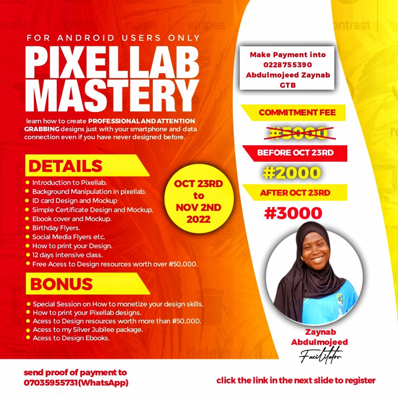 Buy Pixellab Mastery by Abdulmojeed Zaynab Adeola on Selar