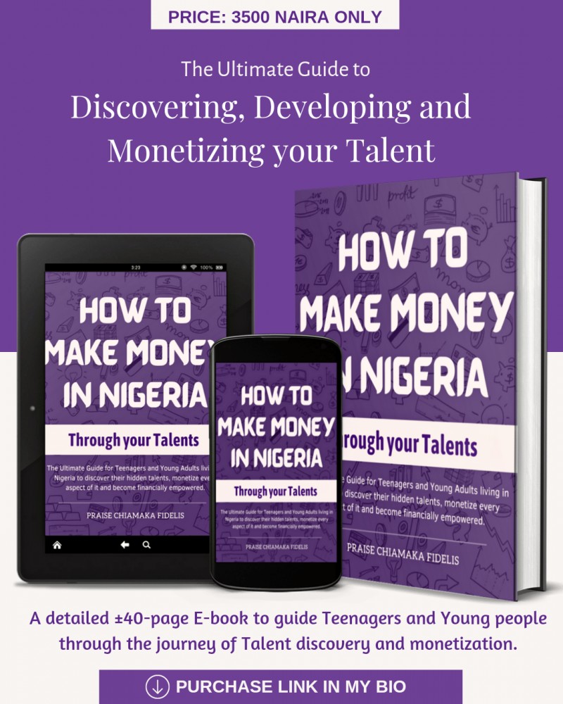Buy How to make money in Nigeria from your Talents by Praise Chiamaka ...
