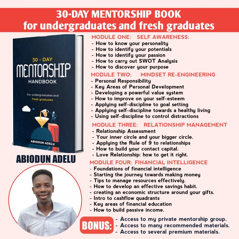 Buy 30-DAY MENTORSHIP BOOK (for undergraduates and fresh graduates) by ...