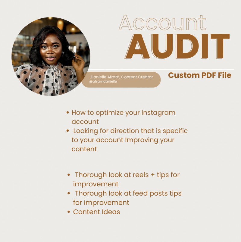 Buy Account Audit by Danielle Afram on Selar