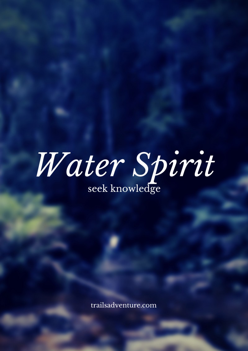 Buy Water Spirits by Ahuruchi Temple on Selar