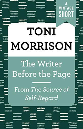 Buy The Writer Before the Page: From The Source of Self-Regard (A ...