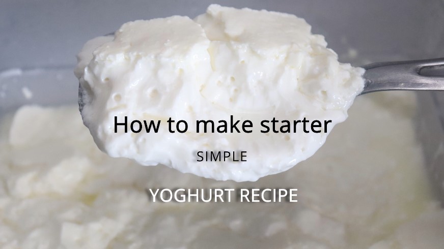 Buy How To Make Yogurt Starter From Scratch - Without Buying Store ...