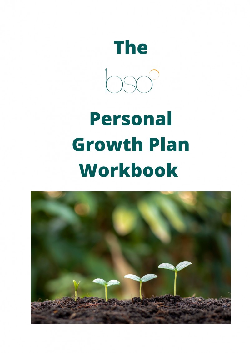 Buy The BSO Personal Growth Plan Workbook by Coach BSO on Selar