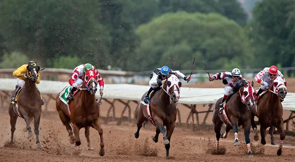 Buy Horse Racing Club by Lowanda Annis on Selar