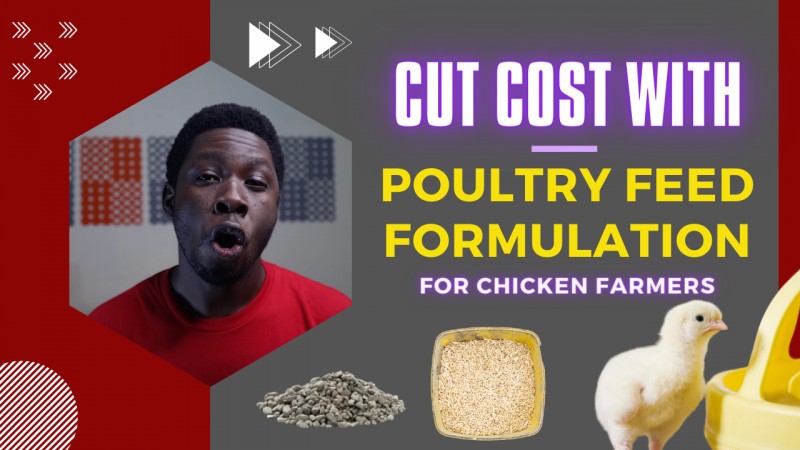 Buy POULTRY FEED FORMULATION MASTERCLASS by Feathers Pro on Selar