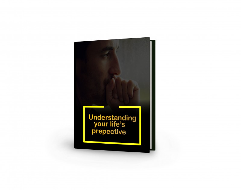 Buy Understanding Your Life's Perspective by Selar Ebook Market Place ...