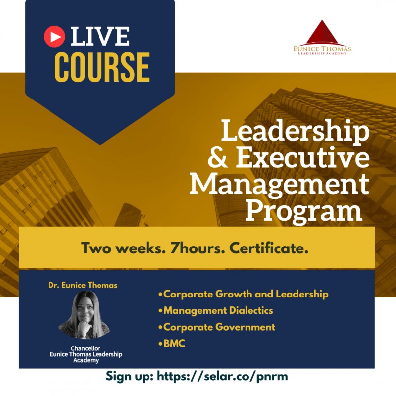 Buy Leadership and Executive Management Program by Emmanuel Ned on Selar