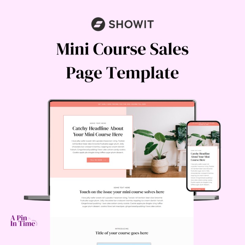 Buy Mini course sales page Showit template by A Pin In Time on Selar