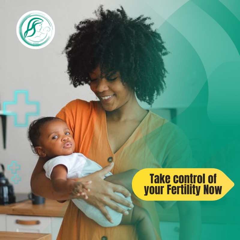 Buy Take Control of your Fertility Now by Fertility Ng on Selar
