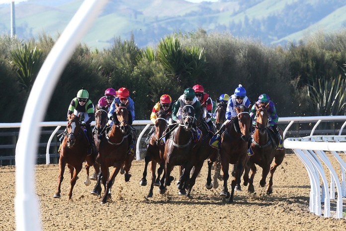 Buy Horse Racing Club by claude pierce on Selar