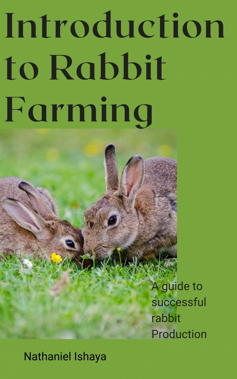 Buy Introduction to Rabbit Production by Nathaniel Ishaya on Selar