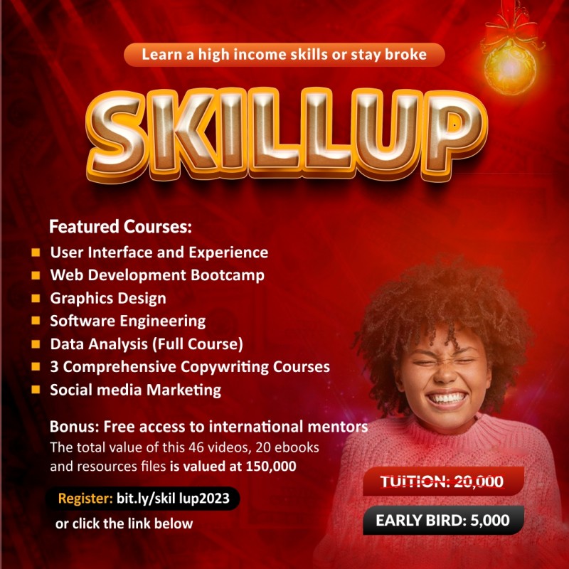 Buy Skill Up by Gbenga Alabi on Selar