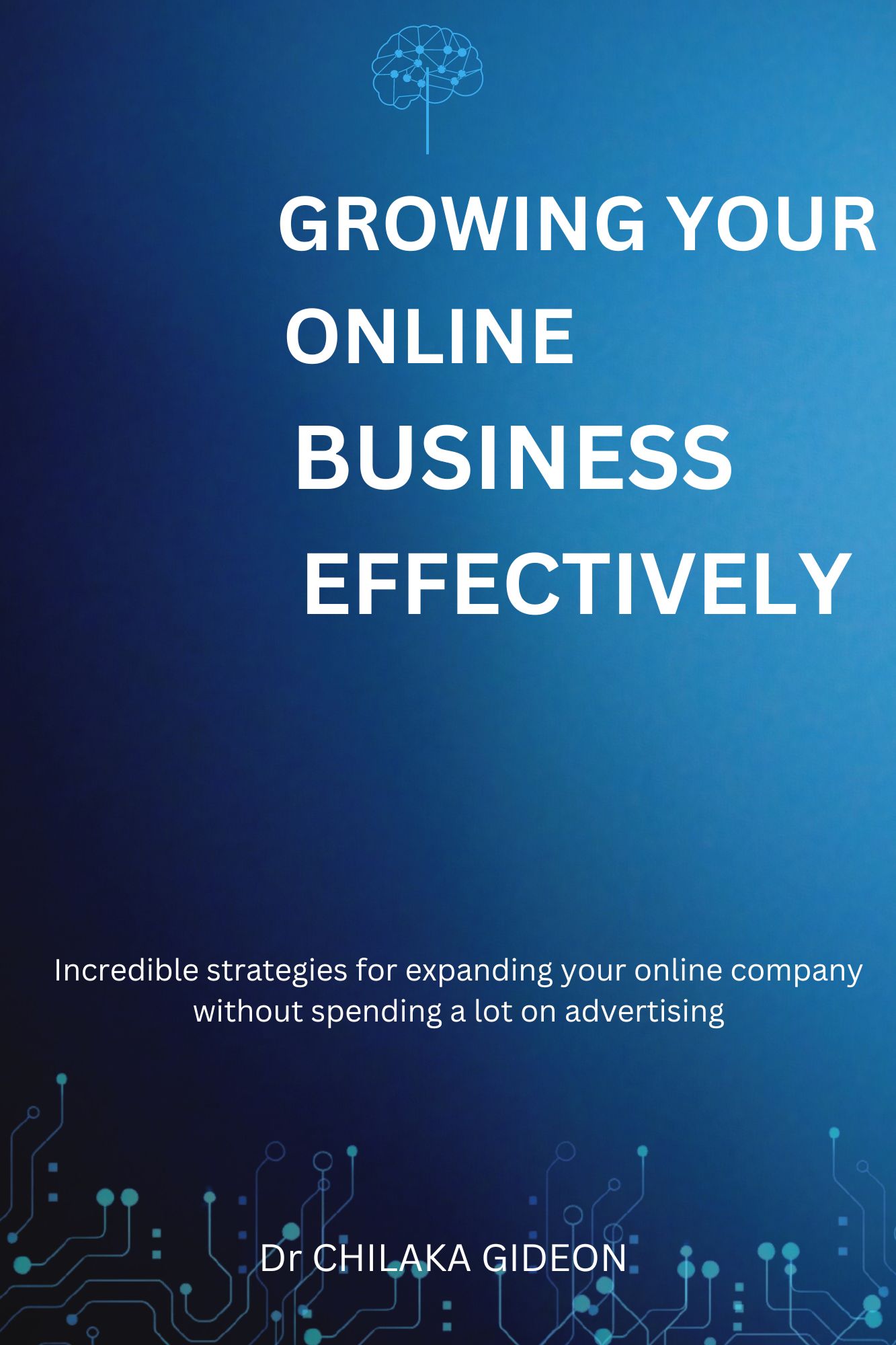 Buy GROWING YOUR ONLINE BUSINESS EFFECTIVELY by Gideon Chilaka on Selar
